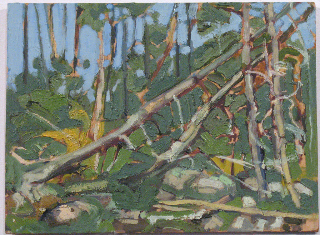 Canadian Landscape | Portfolio Categories | Todd Tremeer